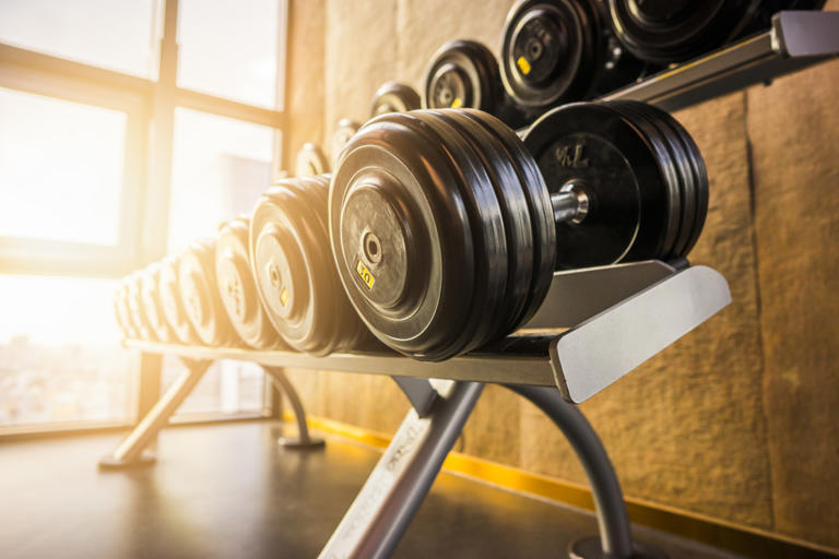 What's Better for Building Muscle, Barbells or Dumbbells?