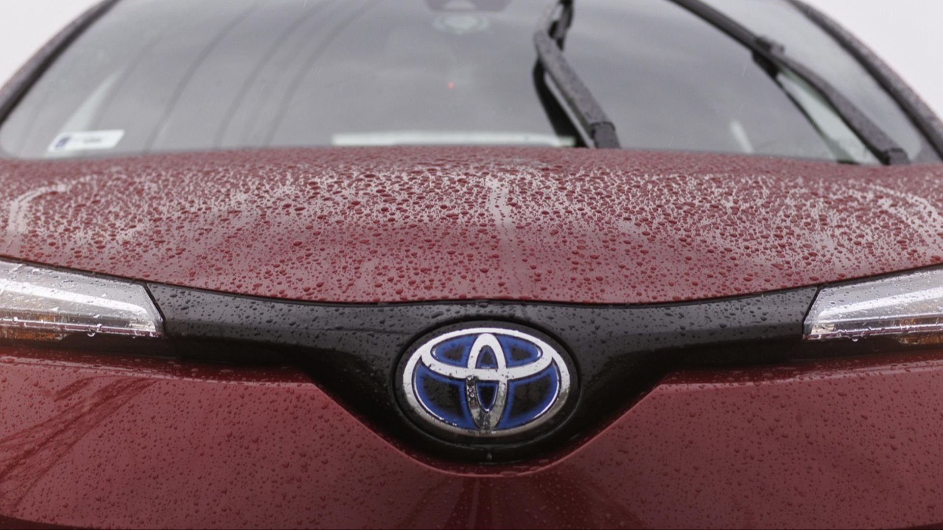 20 Common Cars You Always See Everywhere On The Streets