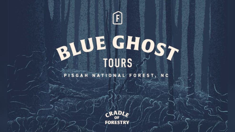 See rare blue ghost fireflies glow at Cradle of Forestry this summer ...