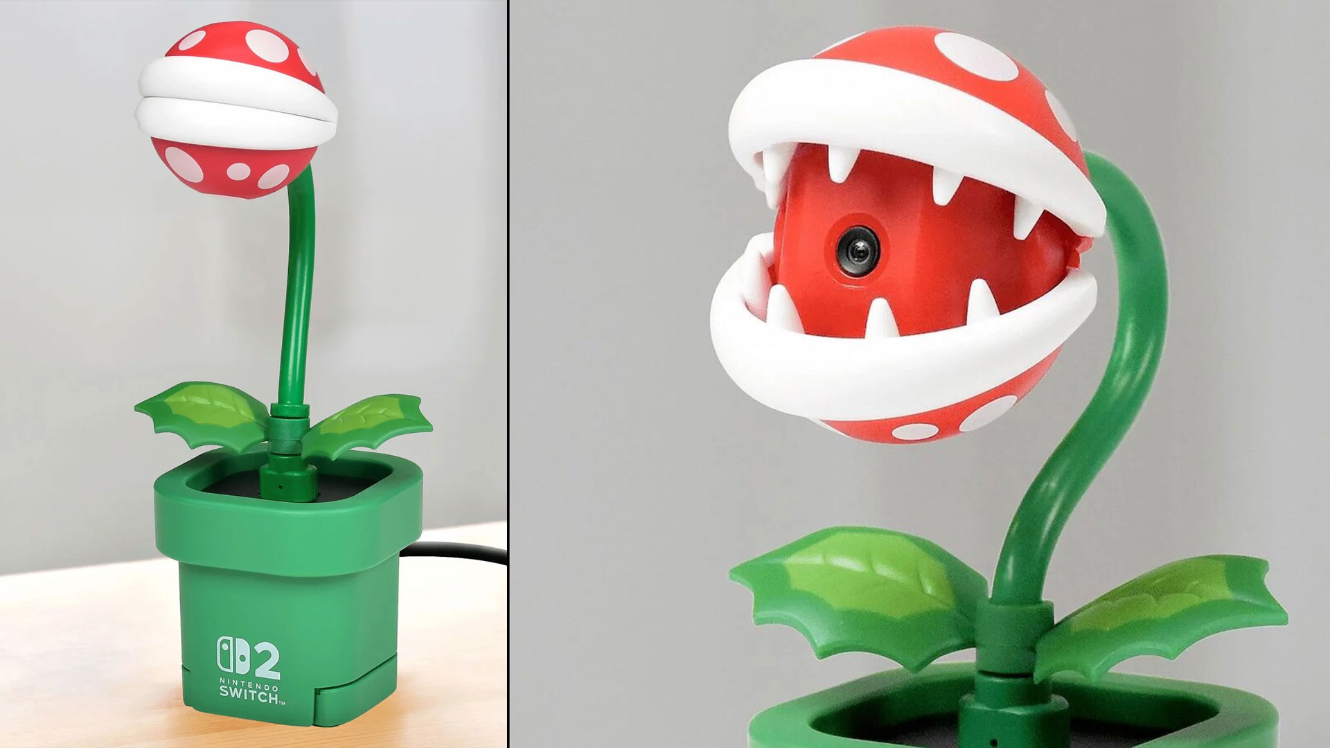 La Pianta Piranha diventa una webcam