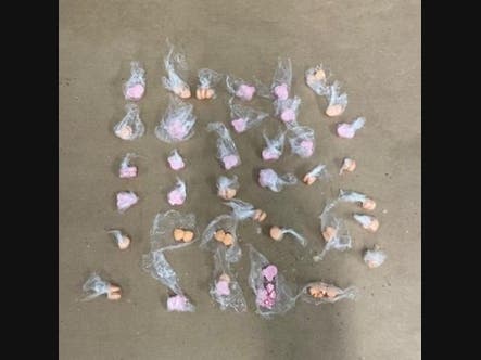 3 Women Busted With 36-Gram Meth Stash After I-87 Stop: NYSP