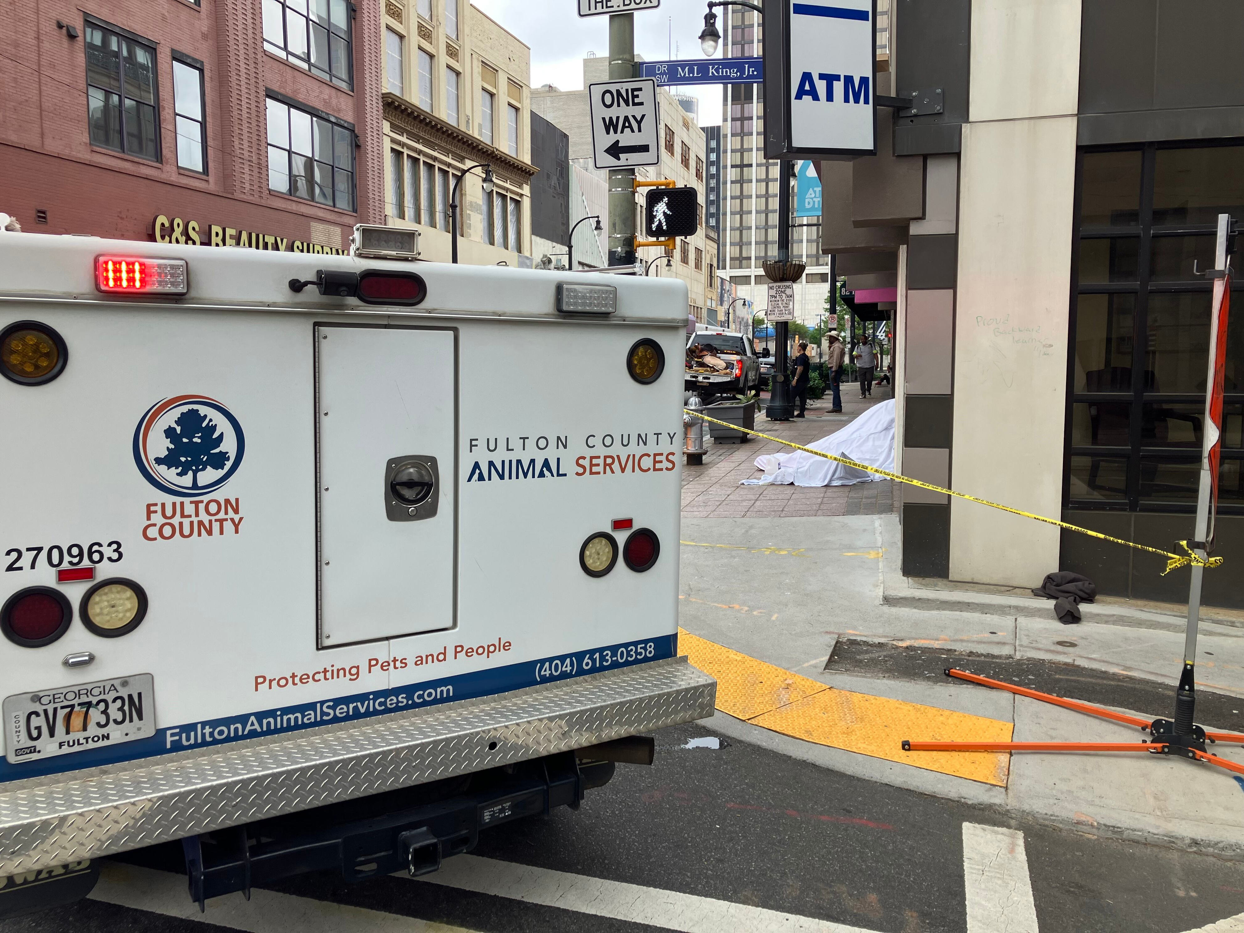 A dead horse was left on sidewalk in downtown Atlanta