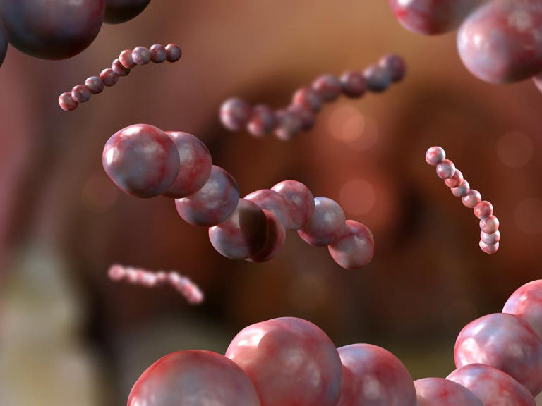 Risk Of Invasive Strep Has Spiked, Study Warns: What To Know In NH