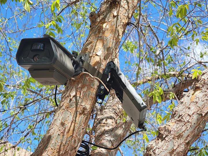 Tactacam Defend Review: A Cellular Security Camera for Off-the-Grid ...