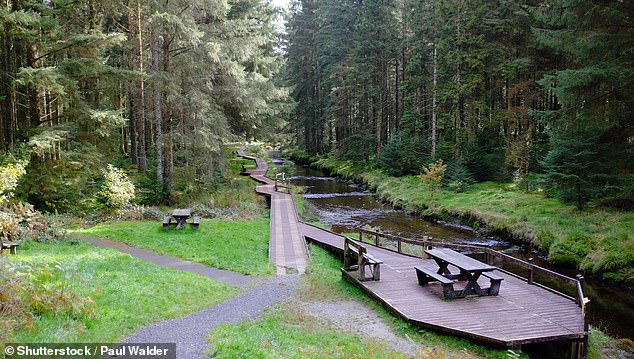 Our beauty spot was a hidden gem until tourists started posting online