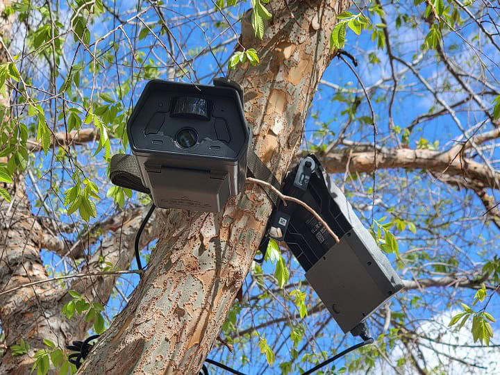 Tactacam Defend Review: A Cellular Security Camera for Off-the-Grid ...