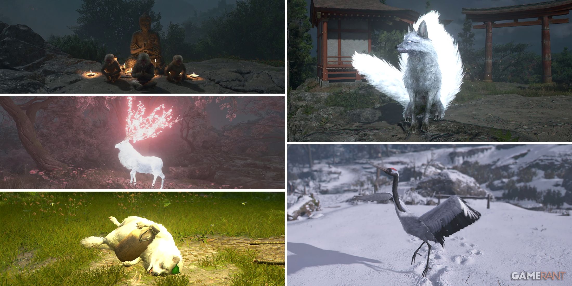 Where to Find All Legendary Animals in AC Shadows (Sumi-e Locations)