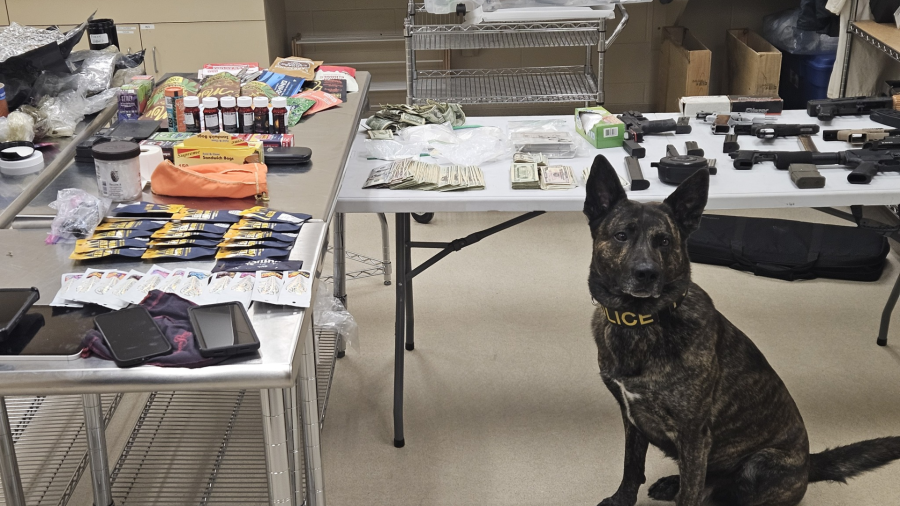 Drugs, weapons and cash seized in major Wisconsin bust following ...