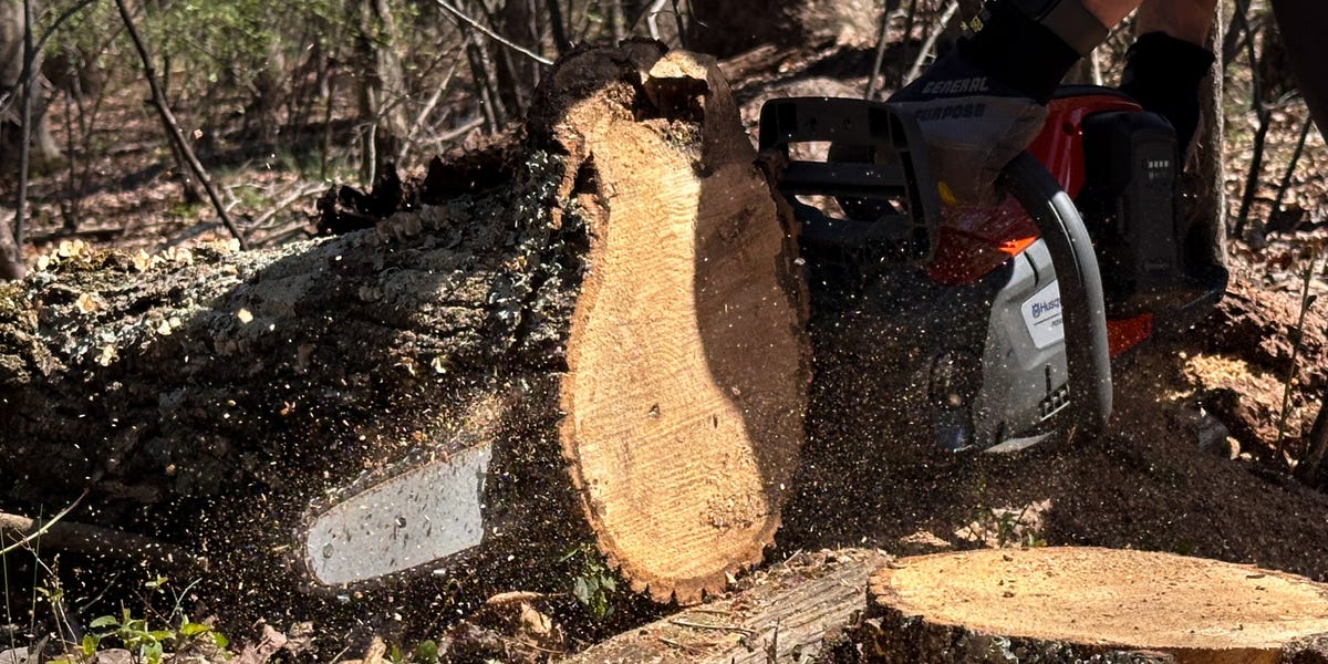 This Electric Husqvarna Chainsaw Is Powerful, Fast, User-Friendly, (Yes ...