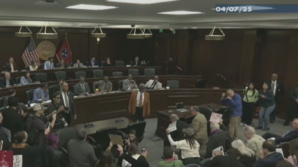 Protestors disrupt Tennessee House vote on bill targeting undocumented ...