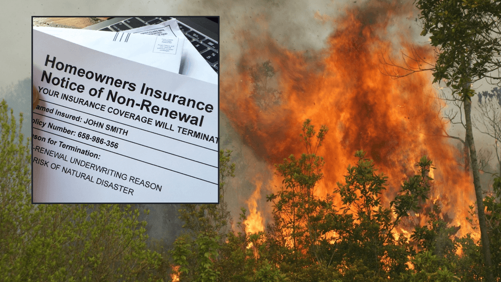 SC Wildfires: How to navigate insurance claims and rebuild after the blaze
