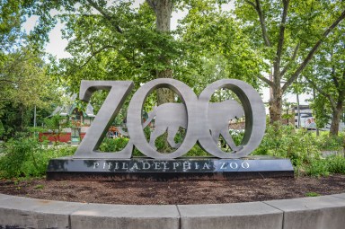 What to do at the Philadelphia Zoo for National Zoo Lovers Day