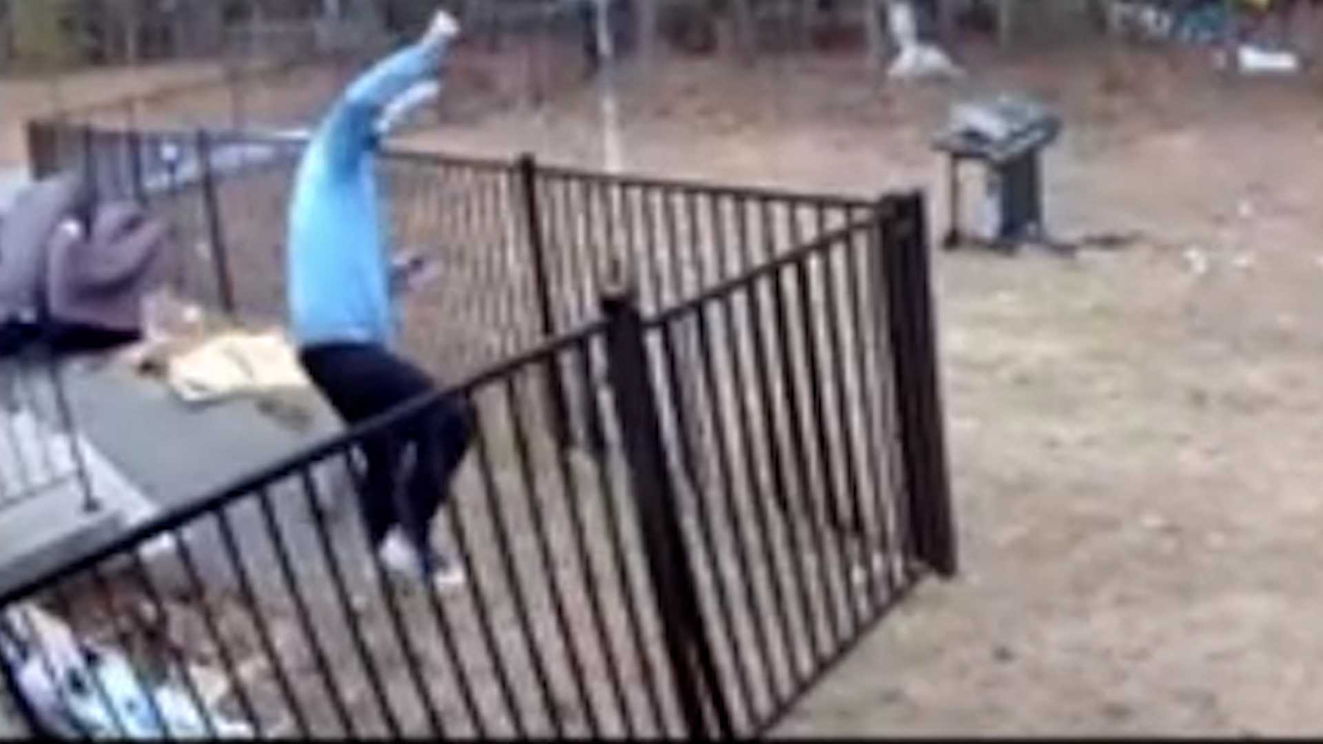 'That fox was waiting for me': Maine man describes attack by rabid animal