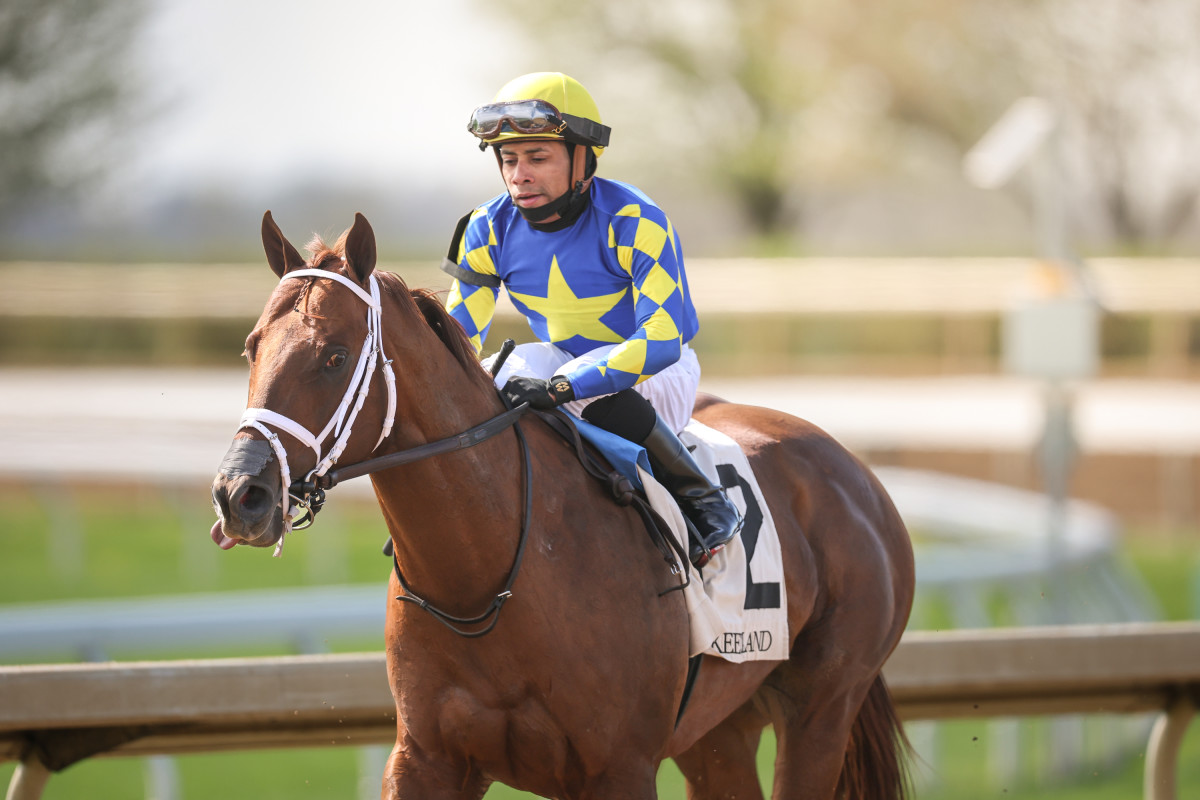 Colloquial 'Not 100 Percent,' Will Scratch From Woody Stephens