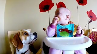 Dog Refuses Food From Baby—Her Face Says It All