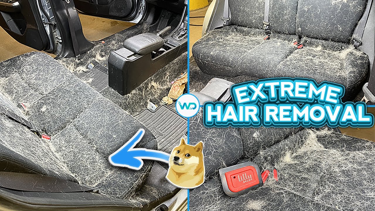 Deep cleaning the hairiest car ever with extreme dog hair removal