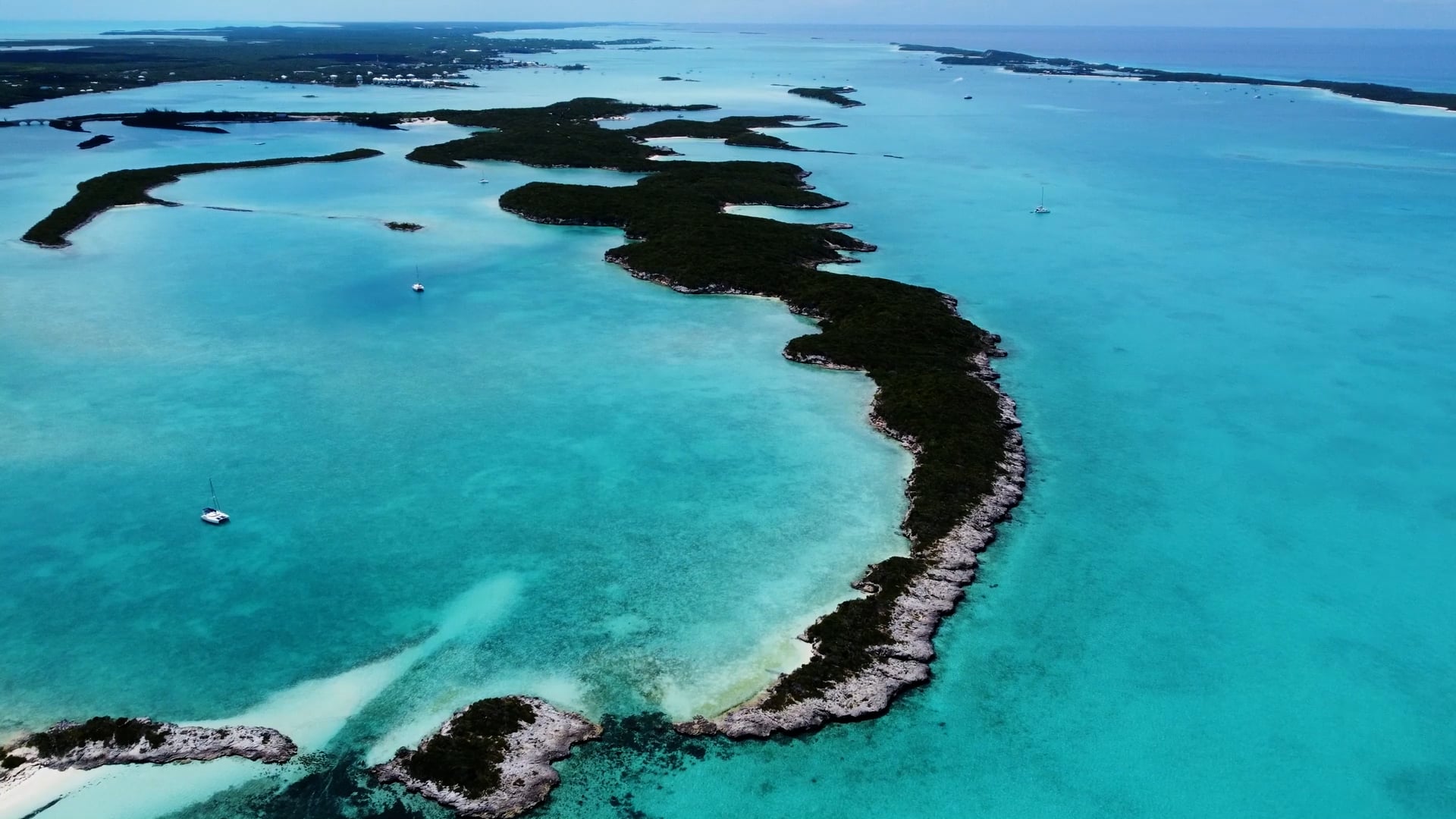 Surga Exuma: Pulau-pulau Kecil yang Indah dan Babi-babi yang Berenang ...