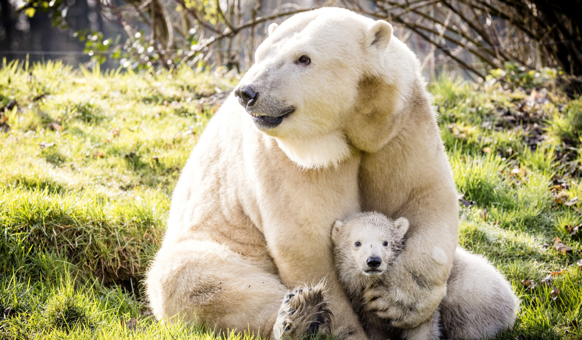 Unerwartete Fakten über Zoos, die Sie kennen sollten