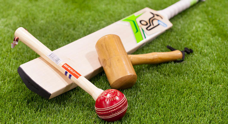 How To Knock In A Cricket Bat