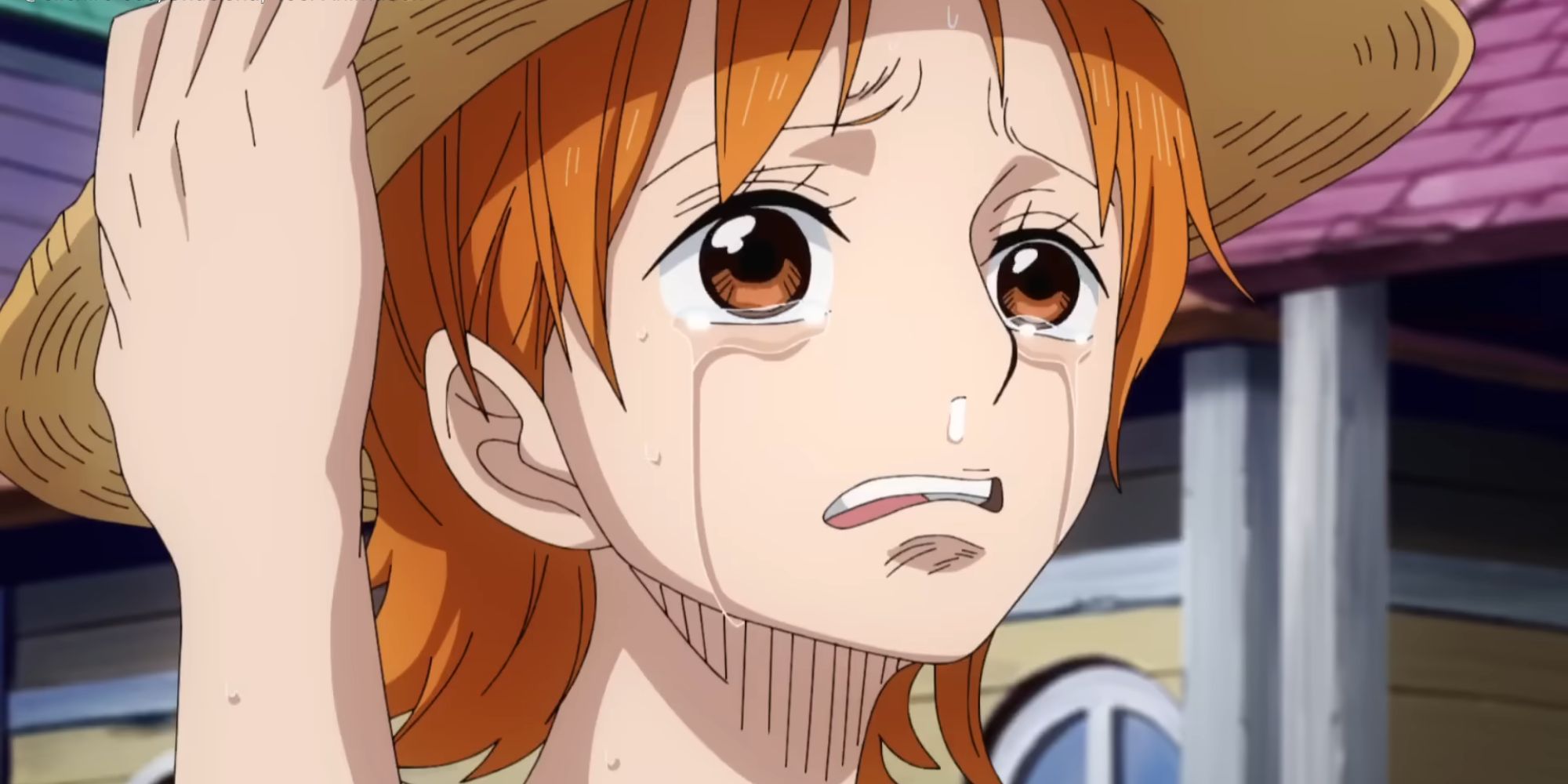 One Piece: Why Do People Hate Nami?