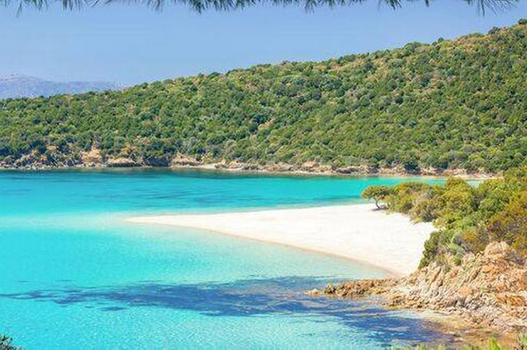 Popular European beach brings in app booking system after capping ...