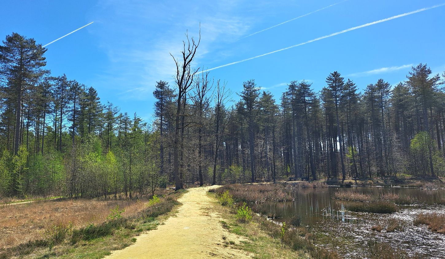 Weerman Samuel: "Vanaf zondag krijgen we ander weer"