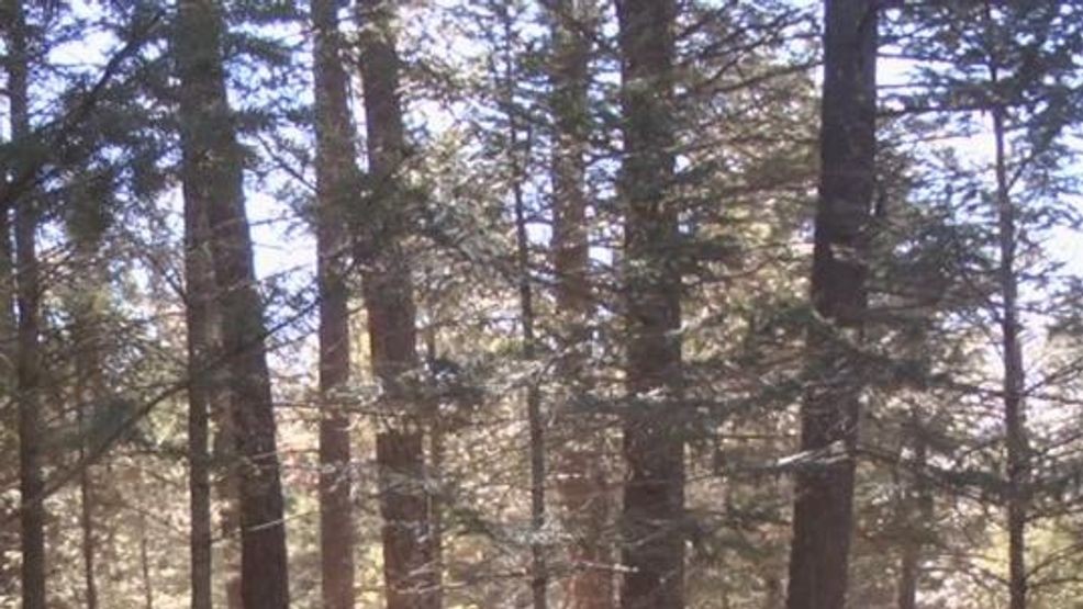 American Farmers & Ranchers oppose plans to cut Oklahoma Forestry Service funding