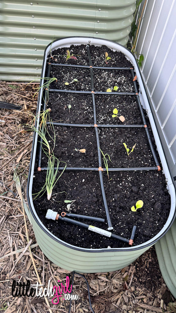 Garden Grid™ review: Best watering system for raised beds?