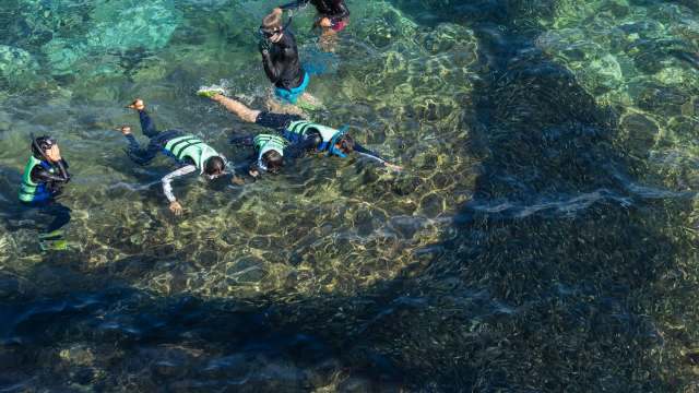 Officials launch investigation after making disturbing discovery in ...