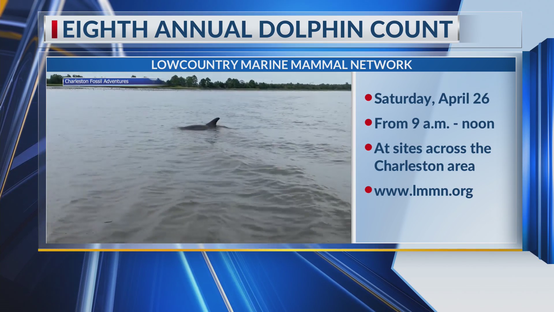 Eight annual dolphin count by the Lowcountry Mammal Marine Network ...