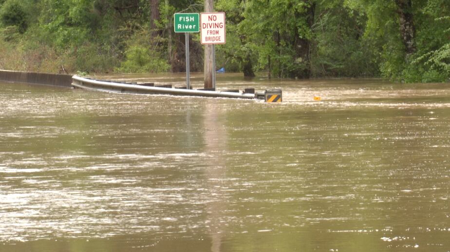 Fish River overflow spills into Bohemian park