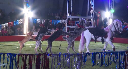 The All American Circus was clowning around at the Washington County ...