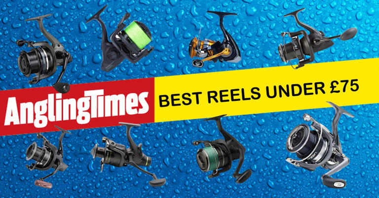 The best reels under £75