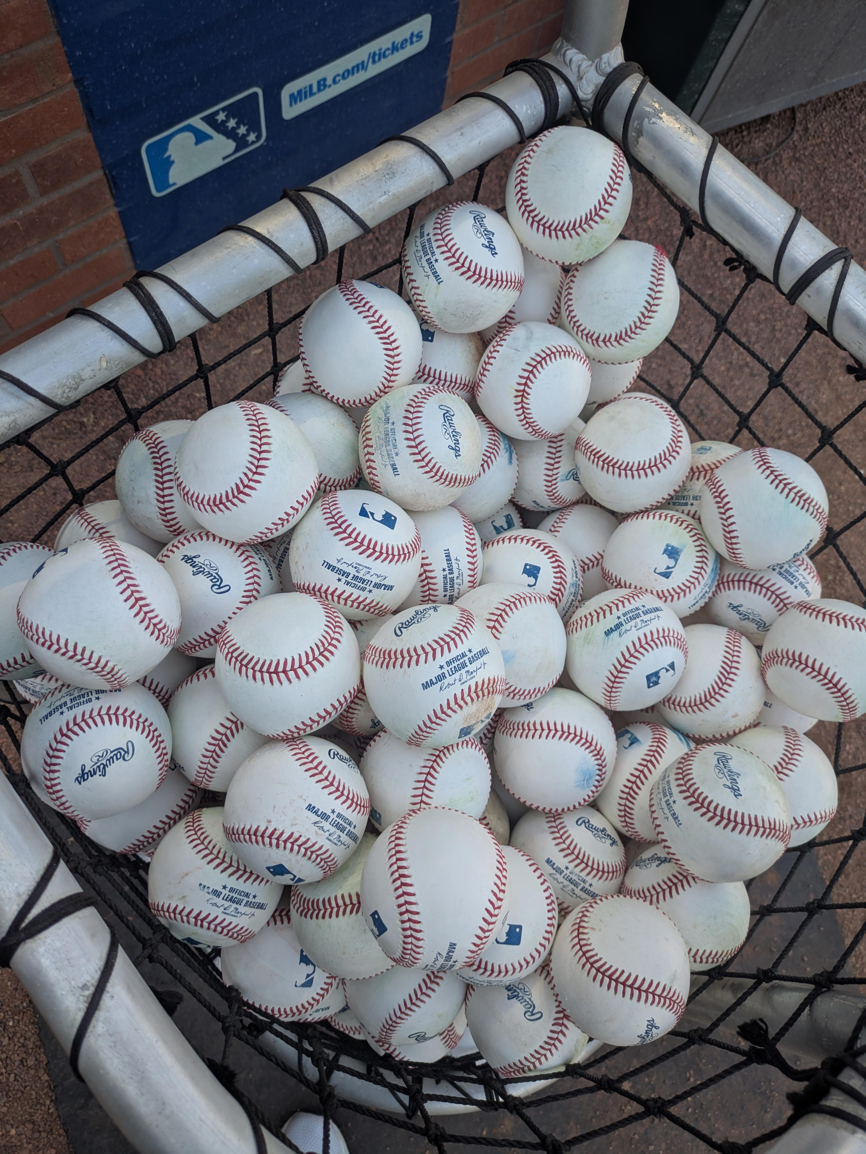 VOTE: Which Northeast Florida high school baseball champion is best ...