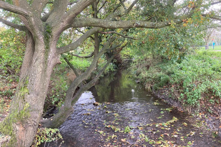 Birmingham named one of the greenest cities in Europe - see the best ...