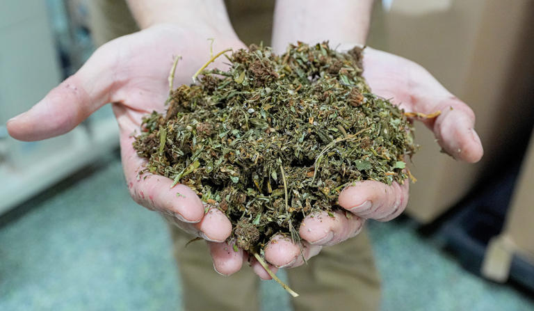 McConnell: We can protect kids from THC and grow KY's hemp industry ...