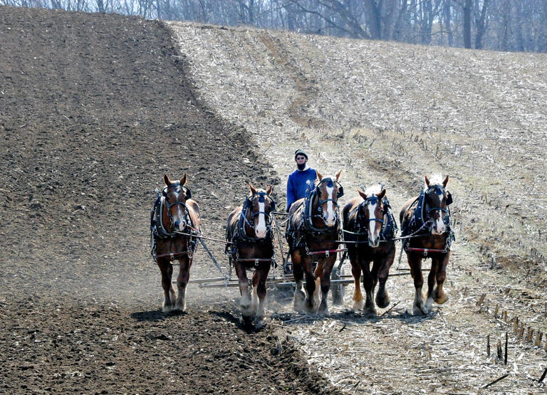 When it comes to 'Most Hospitable' in Ohio, WorldAtlas picks these ...