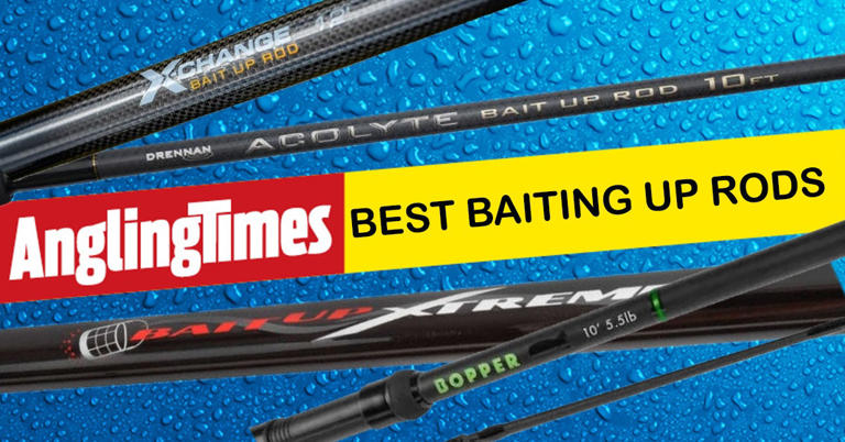 The best bait up rods