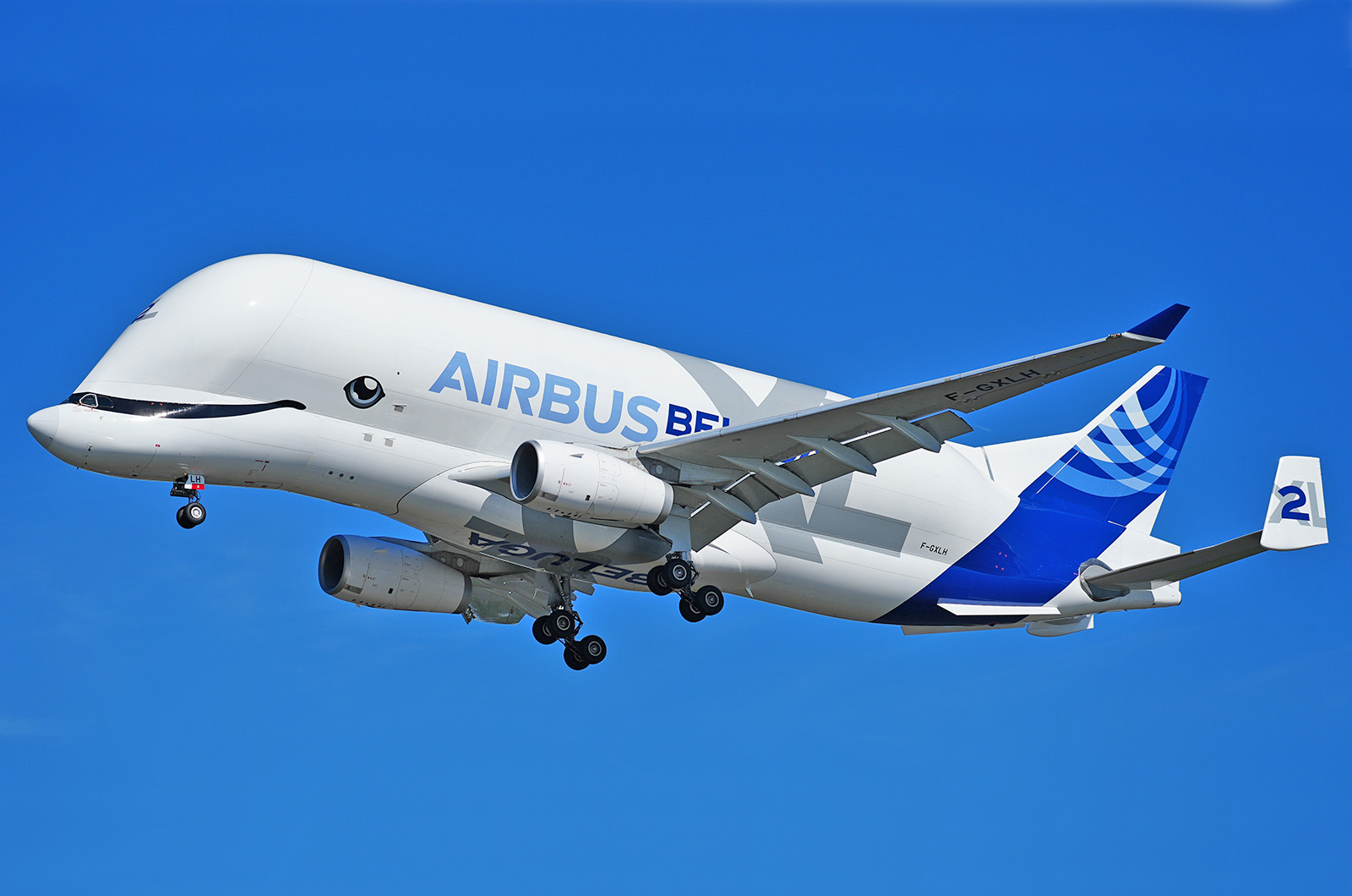 30 signs of dehydration you need to know