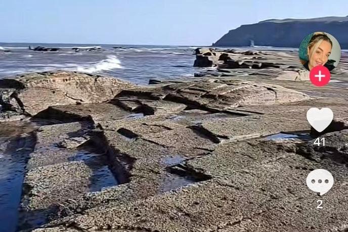 Whitby's amazing dinosaur beach where you can hunt fossils and spot ...