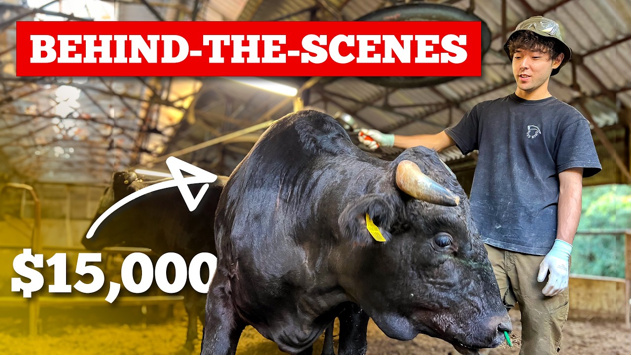 How Kobe beef became the wagyu to rule them all