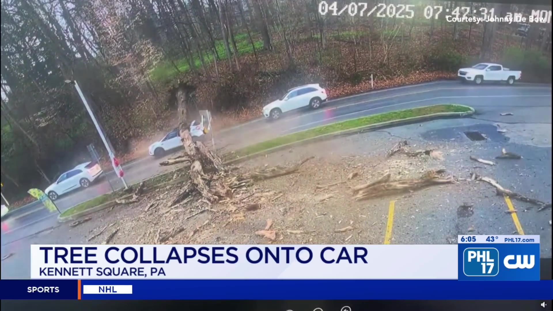 Shocking video shows tree smashing car in Kennett Square