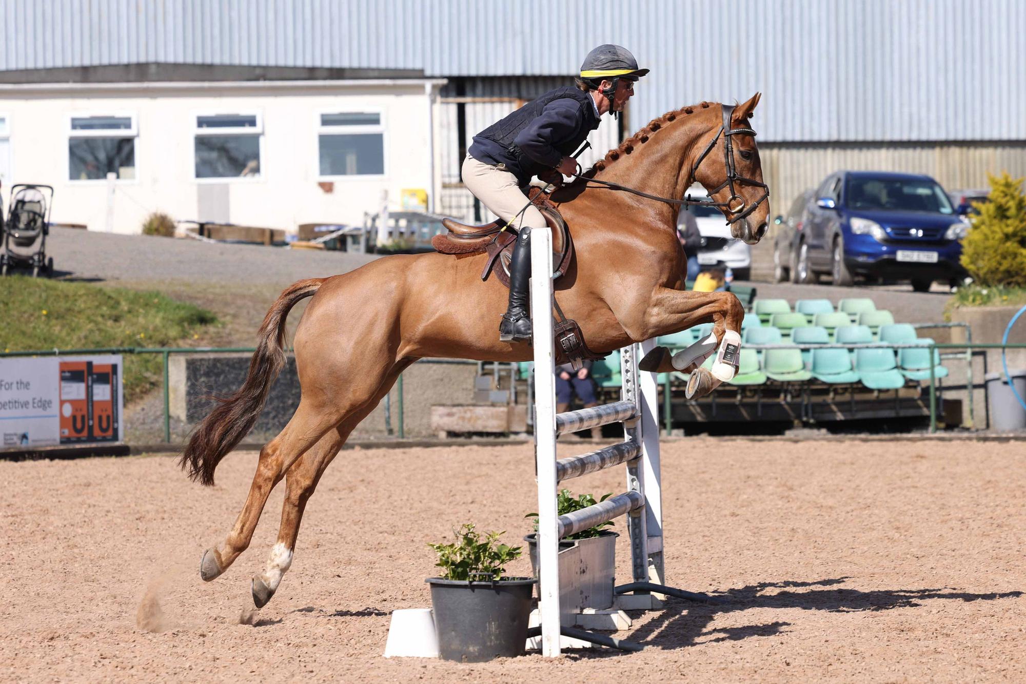 Horse Week: Jump mix and Balmoral qualifiers at Lusk Equestrian