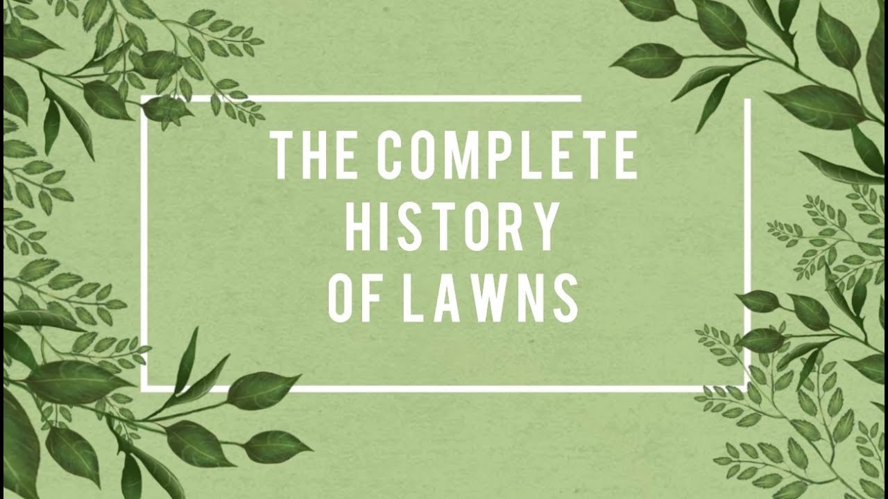 The Rise of Lawns: A Complete History of Grass and Status