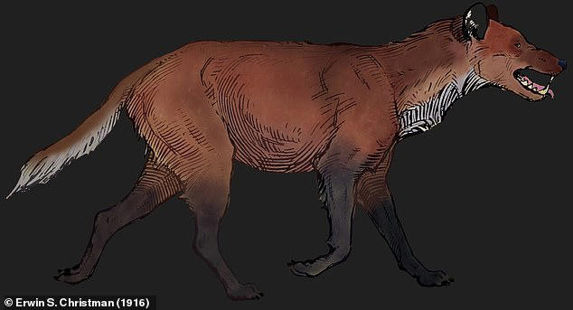 Scientists compare de-extinction of dire wolves to Jurassic Park
