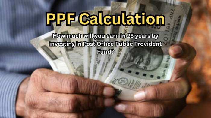 PPF Calculation: How much will you earn in 25 years by investing Rs ...