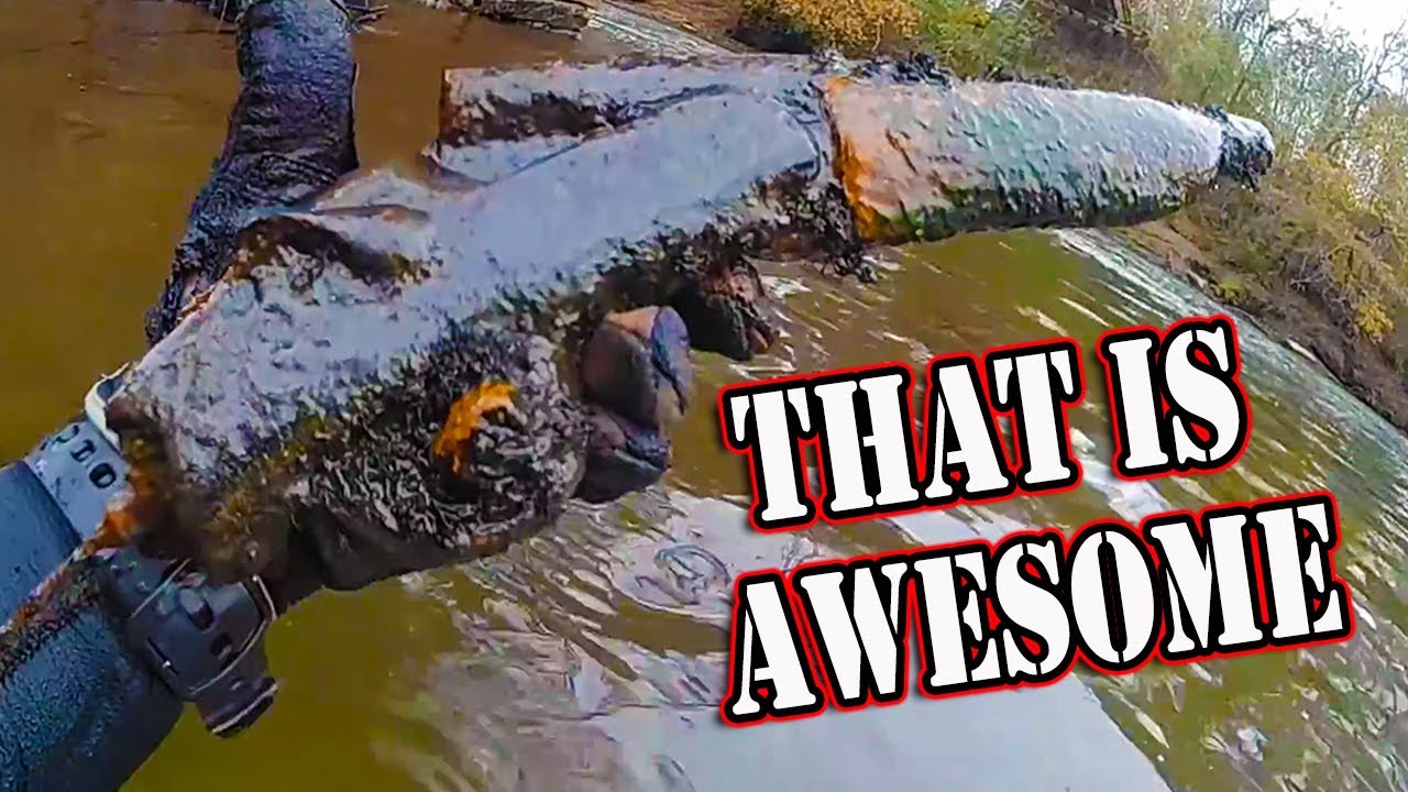 Unexpected river treasure found under abandoned bridge!
