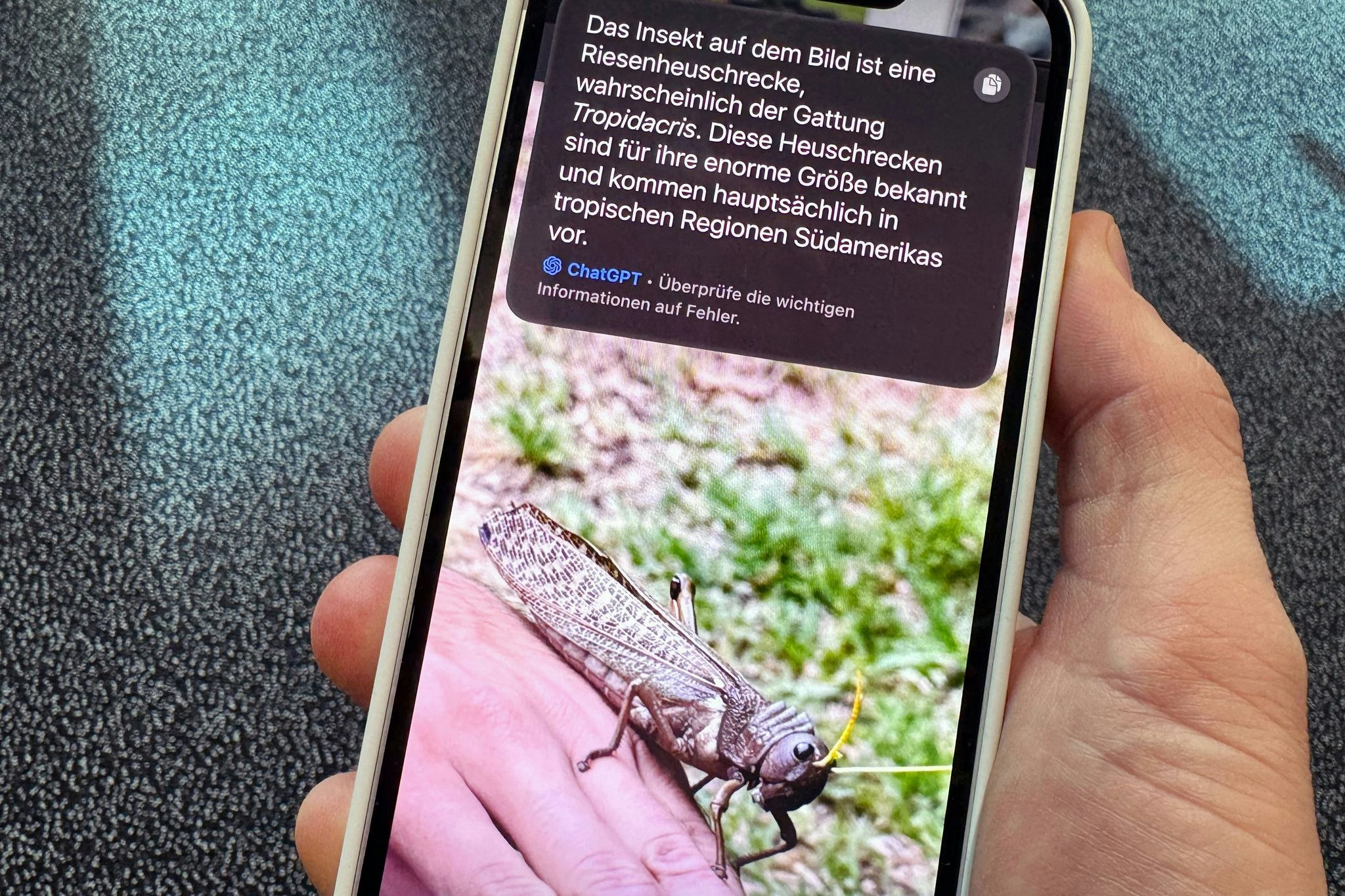iPhone: Visual Intelligence: So startet man Apples Erklärmaschine