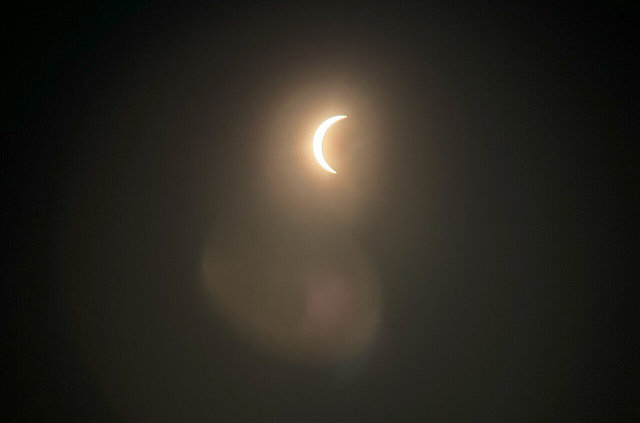 Eclipse echoes: Study reveals surprising avian vocal patterns during ...