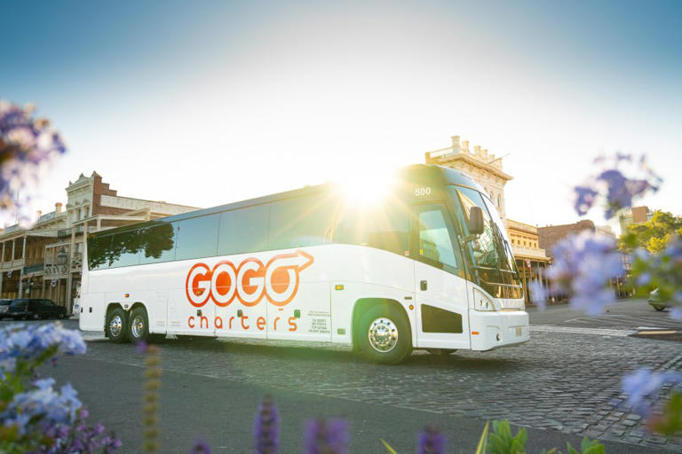 GOGO Charters offering $10 bus rides from St. Petersburg to Orlando